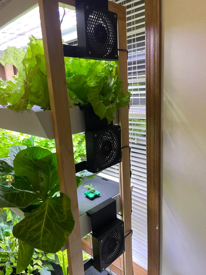 Rise Gardens Fans by LoxBobbin | Download free STL model | Printables.com