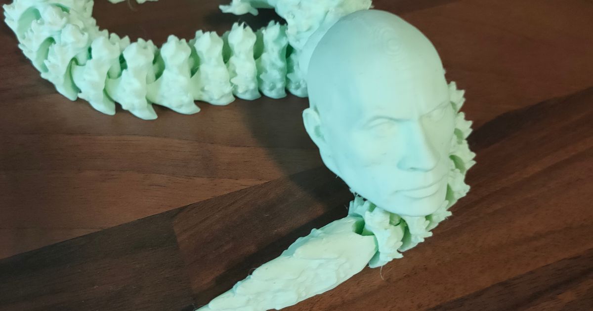 Print in place dragon with Dwayne ''The Rock'' head by Randy | Download ...