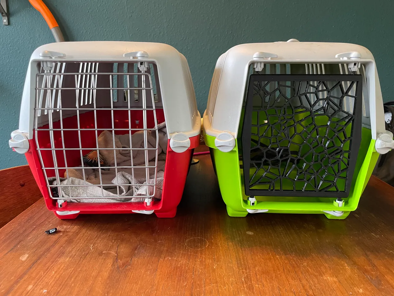 Animal Transport Box by TC | Download free STL model | Printables.com