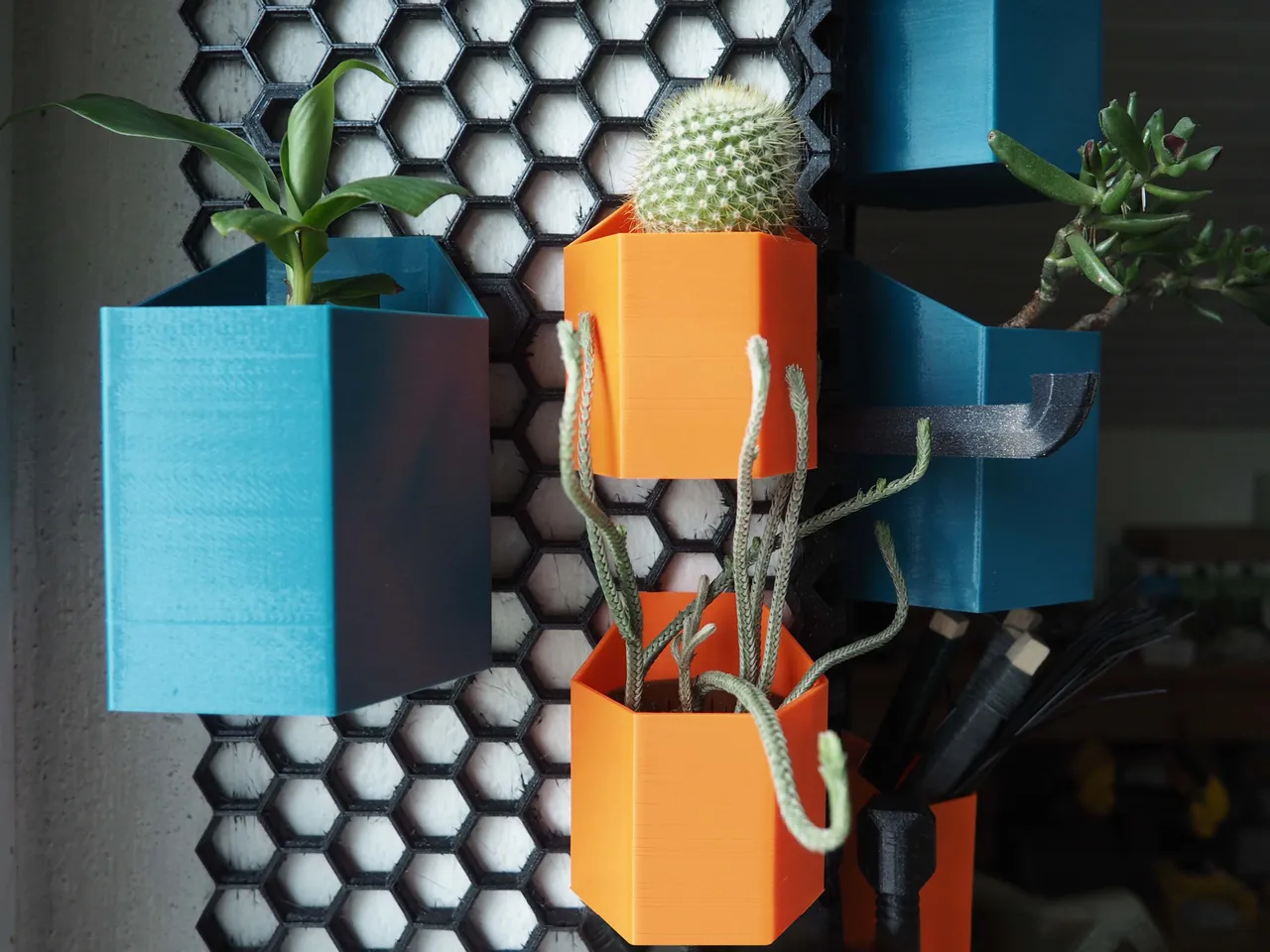 Hexagonal Containers for Honeycomb Storage Wall by Ania Kompa ...