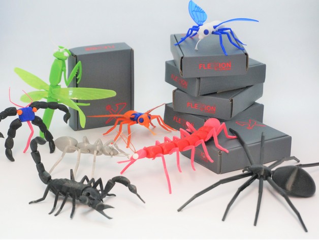 Build A Bug by KN16 | Download free STL model | Printables.com