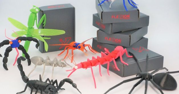Build A Bug by KN16 | Download free STL model | Printables.com