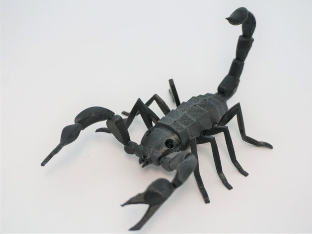 Build A Bug by KN16 | Download free STL model | Printables.com