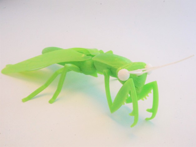 Build A Bug by KN16 | Download free STL model | Printables.com