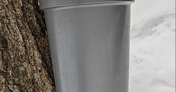 Maple sap spout for minimal tree damage by C Duch | Download free STL ...