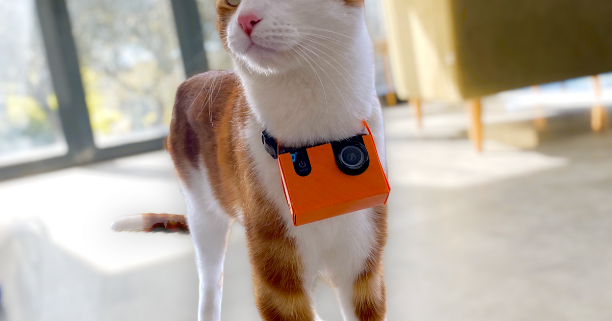 Spy Cat by Sébastien | Download free STL model | Printables.com