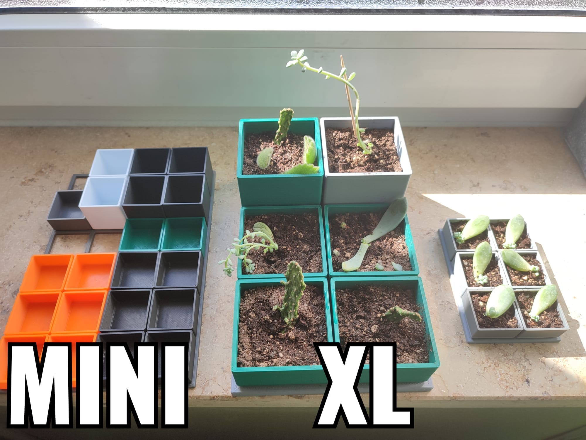 Succulent propagation - modular pot system by Fr3D | Download free STL ...