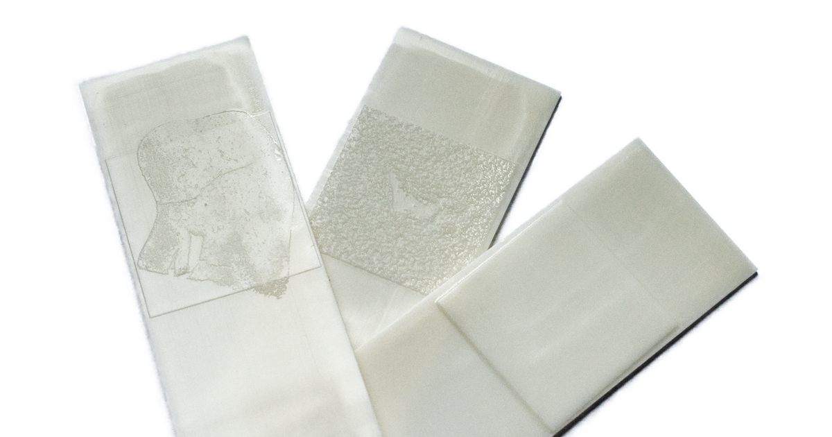 Histological Mount Keychain - Liver by KubiV | Download free STL model ...