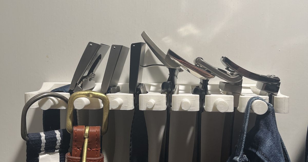 Belt Holder and Hanger -- 8 Belts by dmacnulty | Download free STL ...