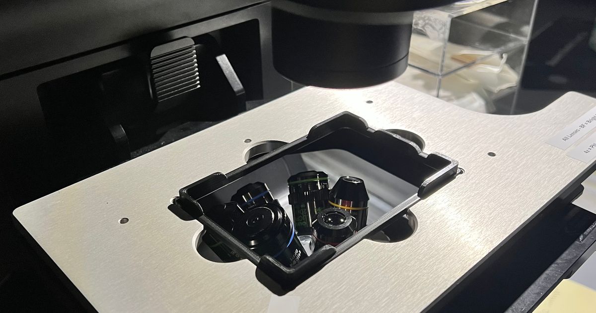 24 well plate cell stage insert for ECHO Revolve scope by Nopitynope ...