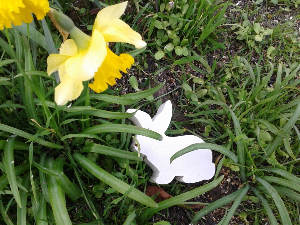 Rabbit 003F, nestable box (v2) by PPAC | Download free STL model ...