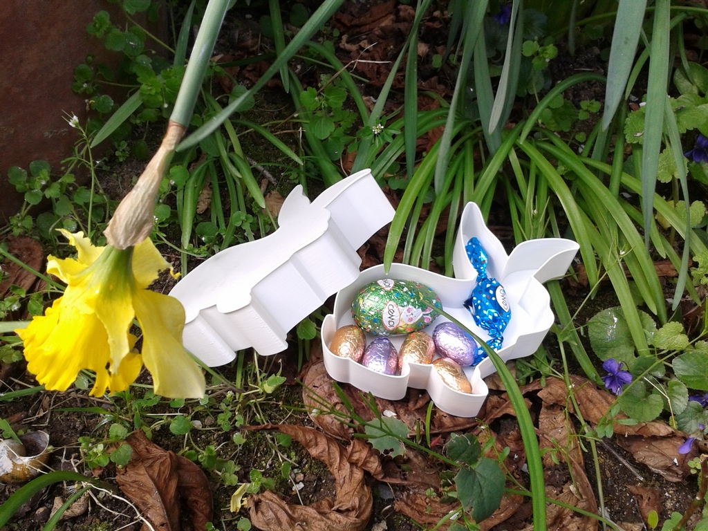 Rabbit 003F, nestable box (v2) by PPAC | Download free STL model ...