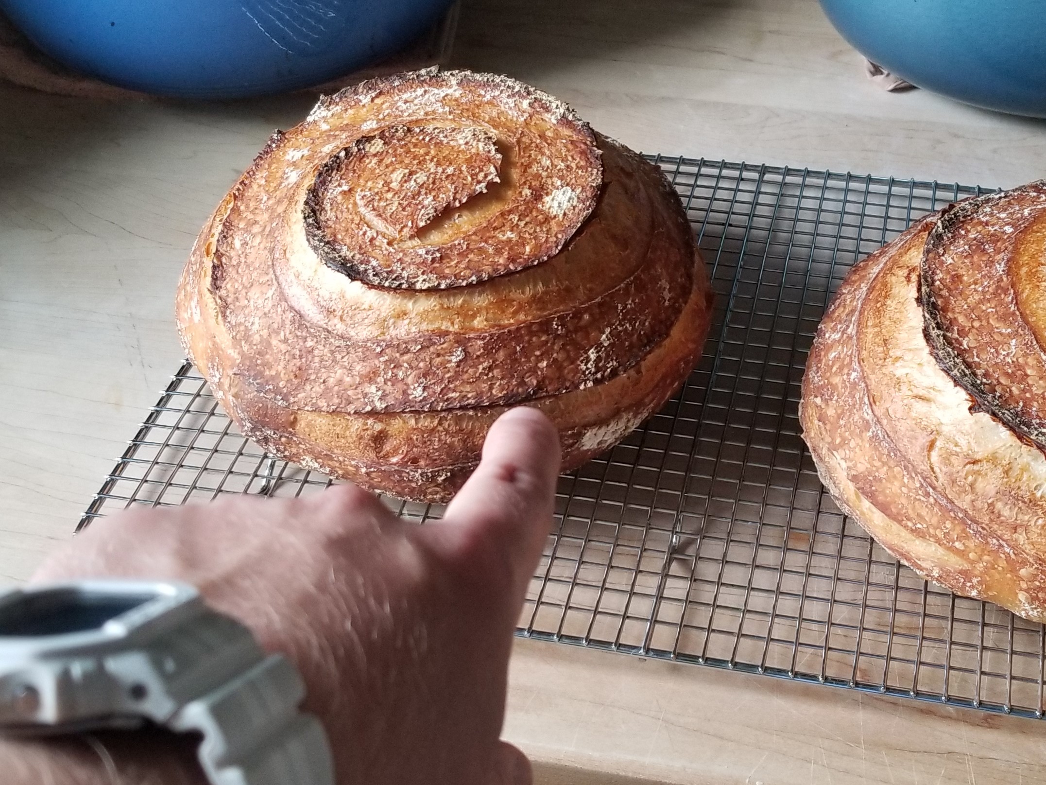 Sourdough Proofing G-Code by Teque5 | Download free STL model ...