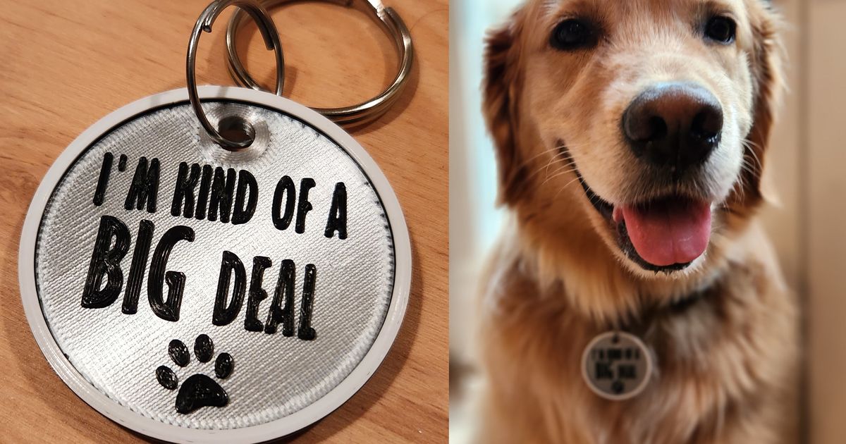 "I'm Kind Of A Big Deal" Dog Tag (w/ Optional Id) by squinn | Download ...
