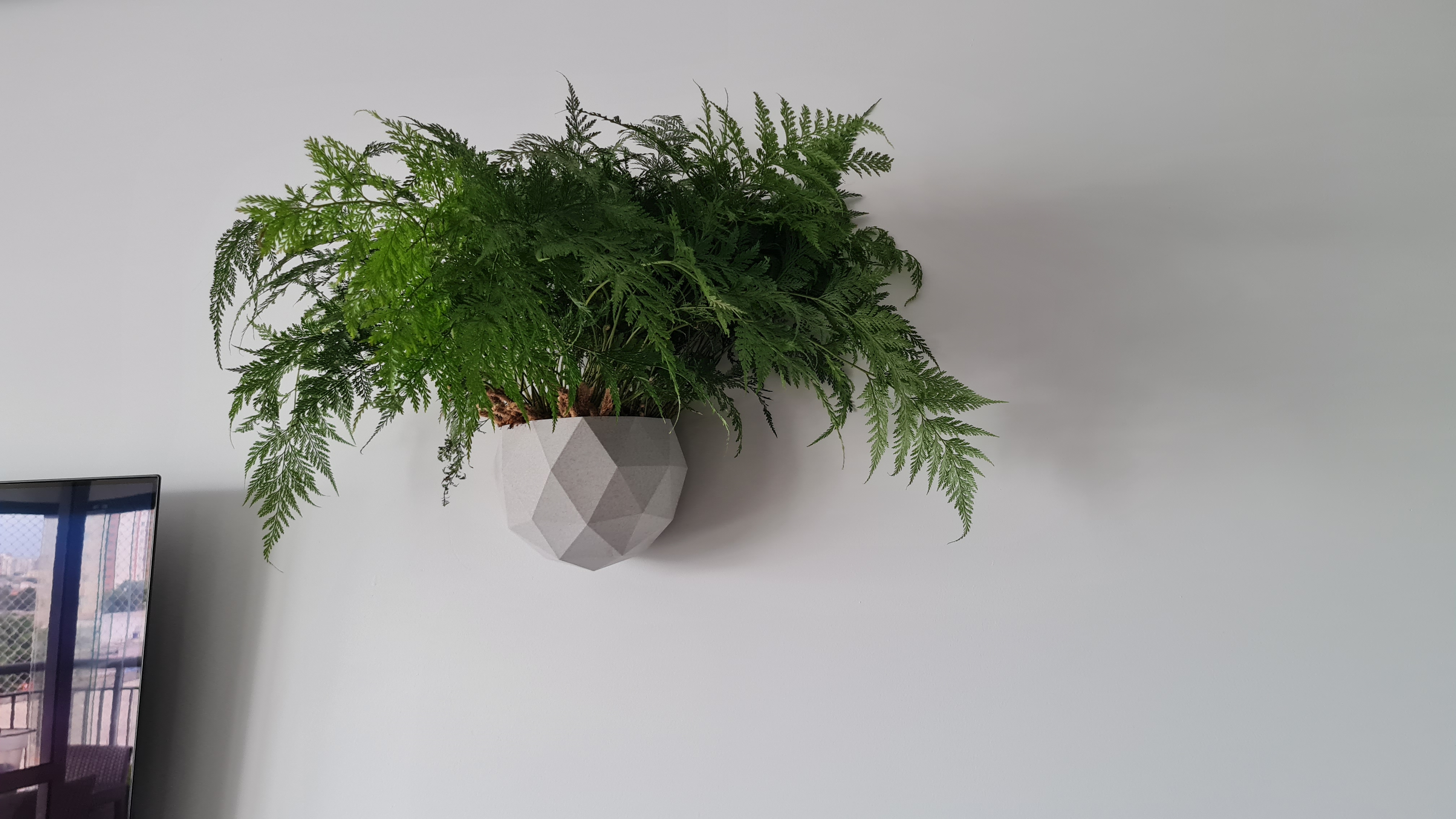 Geometric Wall Plant by rodrigoasrodrigues | Download free STL model ...