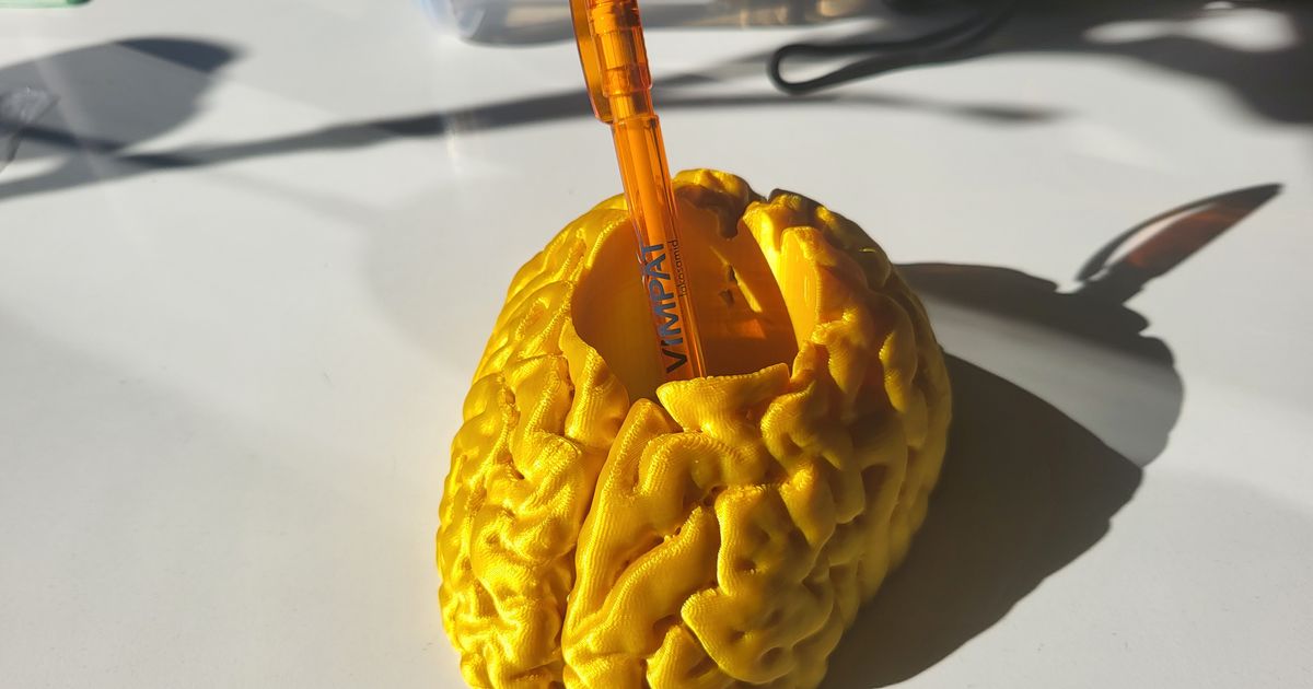 Brain Pen/pencil holder or table organiser by 75echo | Download free ...