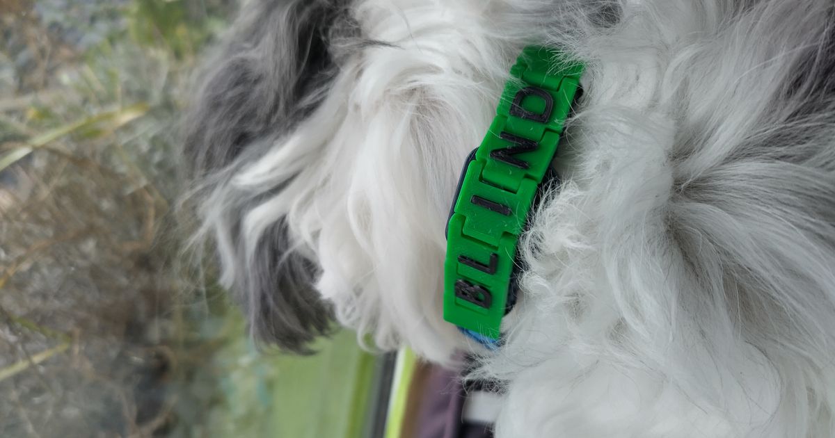 Flexible Dog Info Tag by Faenum | Download free STL model | Printables.com