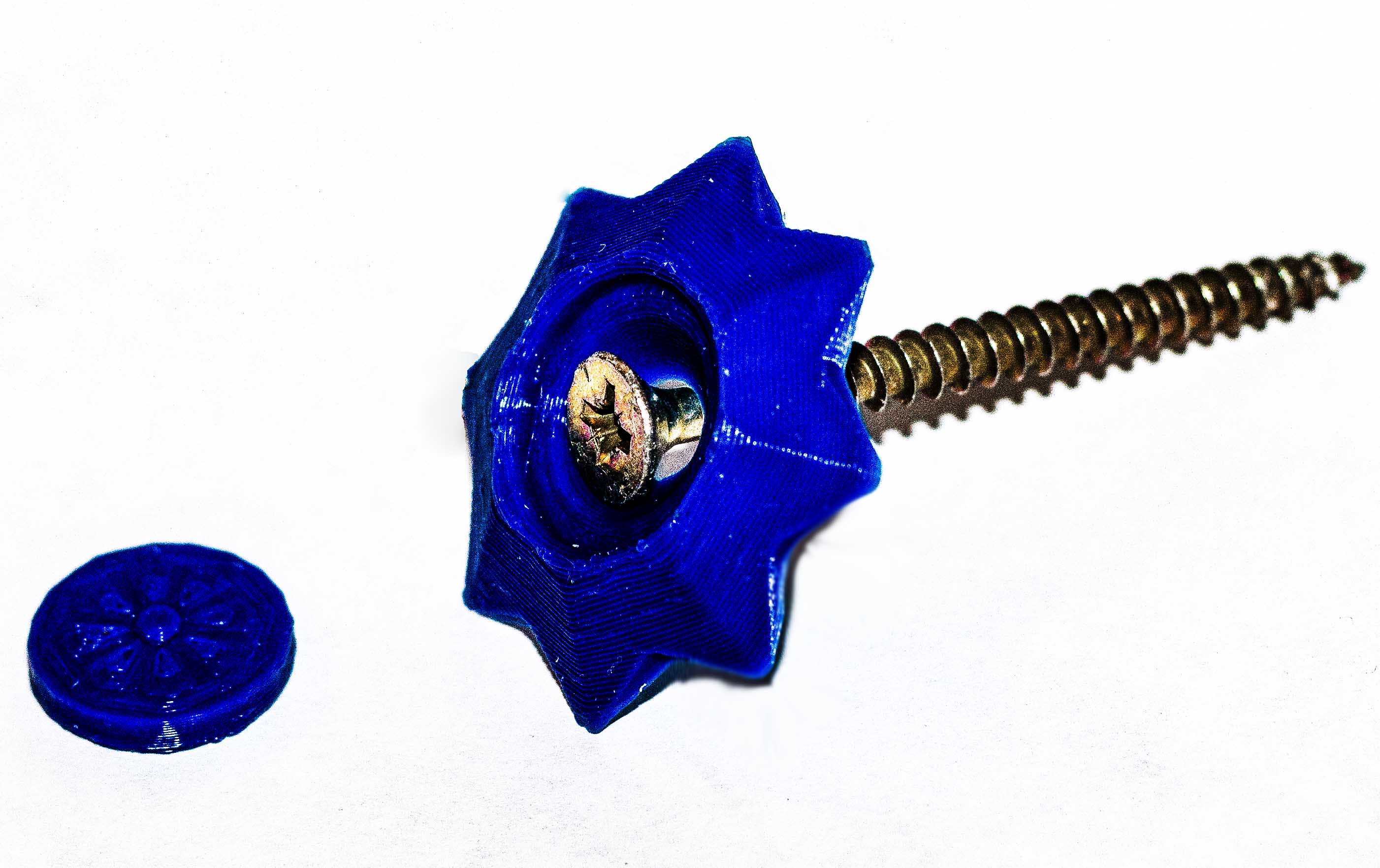 decorative screw cover by Евгений Карлов | Download free STL model ...