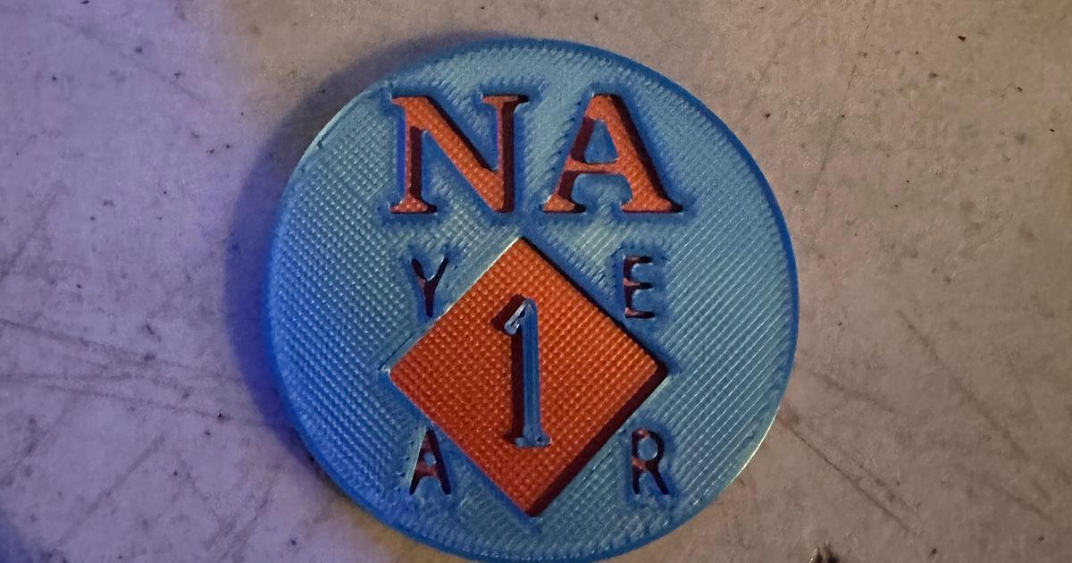 NA 1 Year Chip by Pinknick | Download free STL model | Printables.com