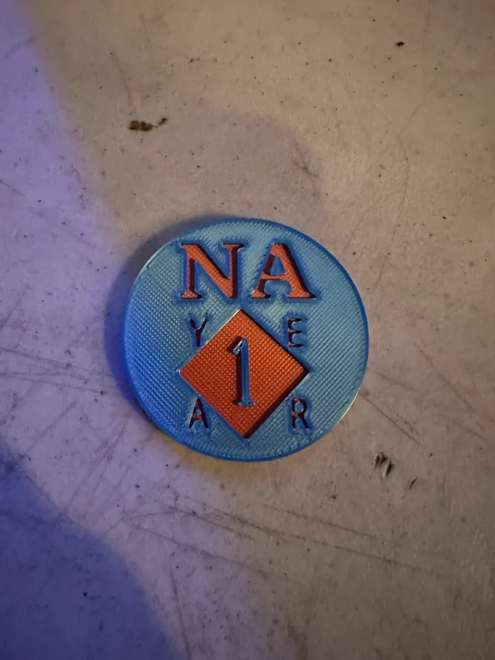 NA 1 Year Chip by Pinknick | Download free STL model | Printables.com