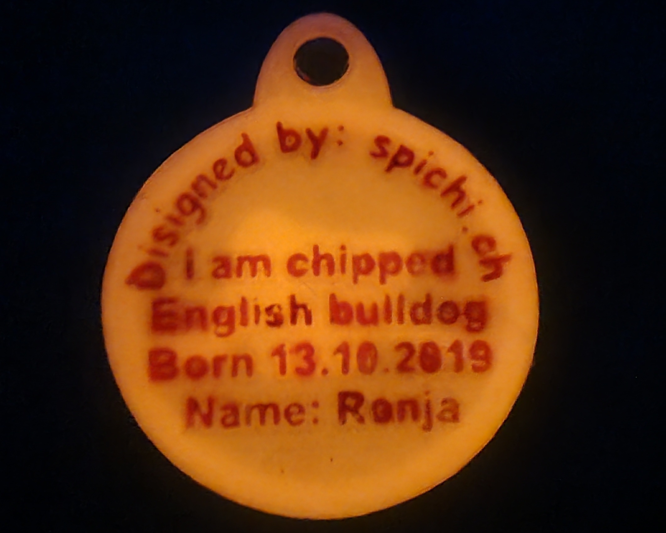 Bully Dog ID Tags Ronja by Qdin | Download free STL model | Printables.com
