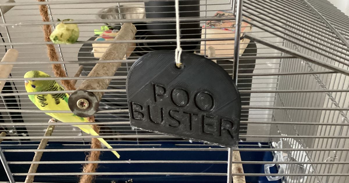 Budgie poo buster / Wellensittich Kot Spachtel by FutureLab | Download ...