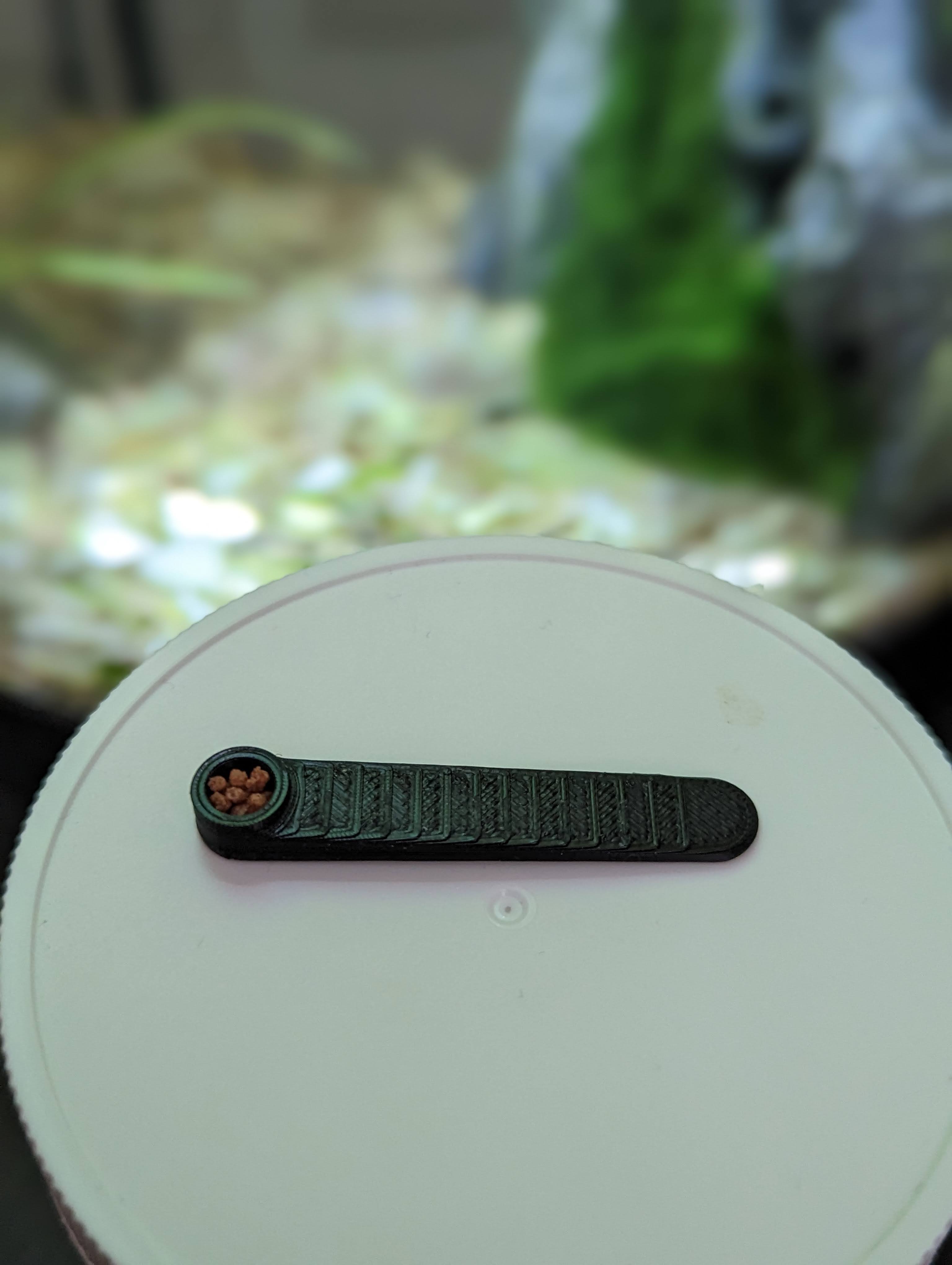 Beta Fish Food Scoop by Eadubs | Download free STL model | Printables.com