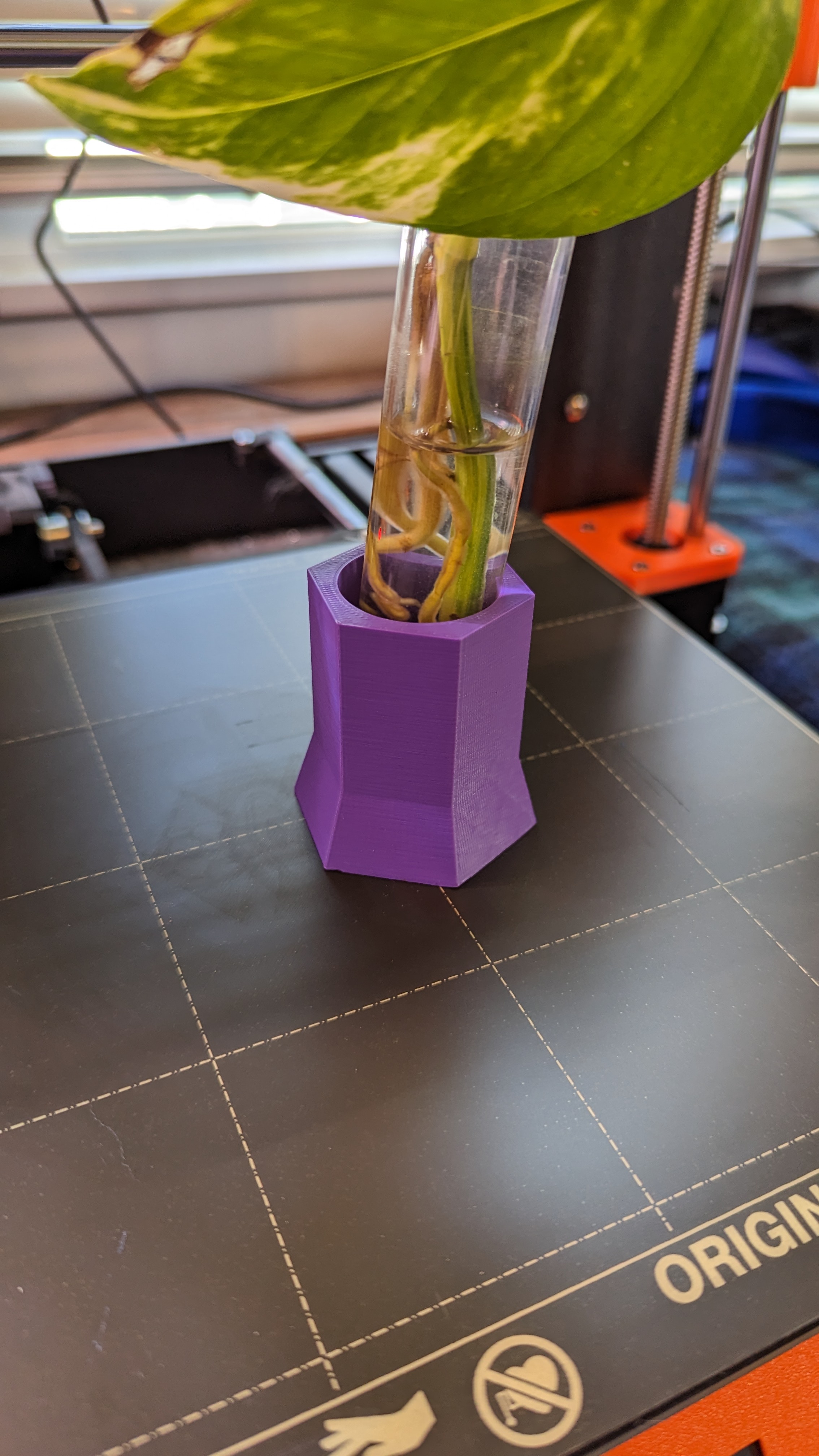 Plant Vial Stand - Hex by Ty10y | Download free STL model | Printables.com