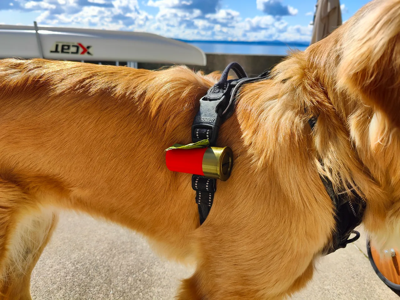 Dog Tag It Tag Holder