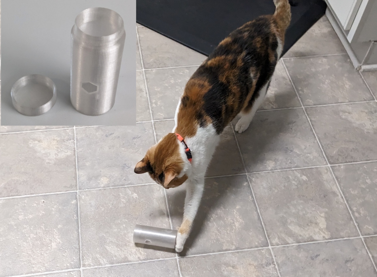Treats Bottle Cat Toy by Steve DeGroof | Download free STL model ...