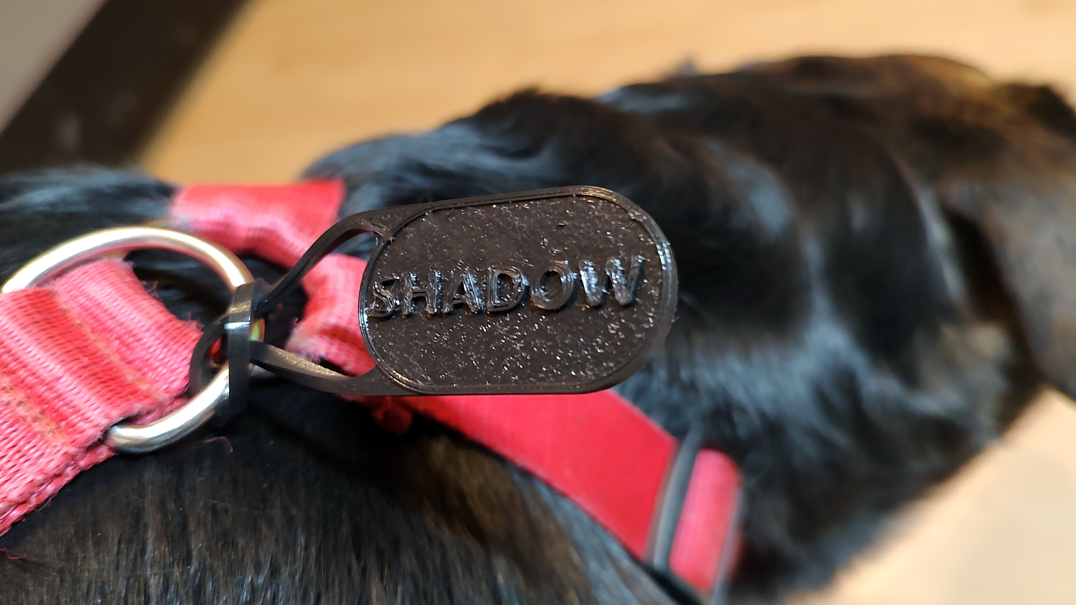 Flexible DogTag with a loop by Sainti | Download free STL model ...