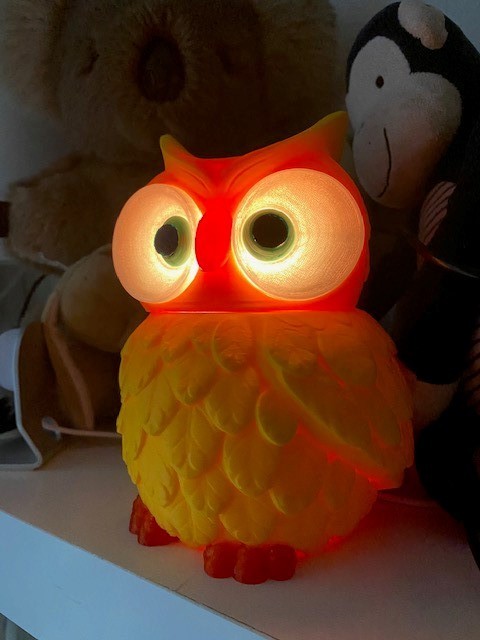 Multi Coloured Owl Lights for NeoPixel Lights by Micah | Download free ...