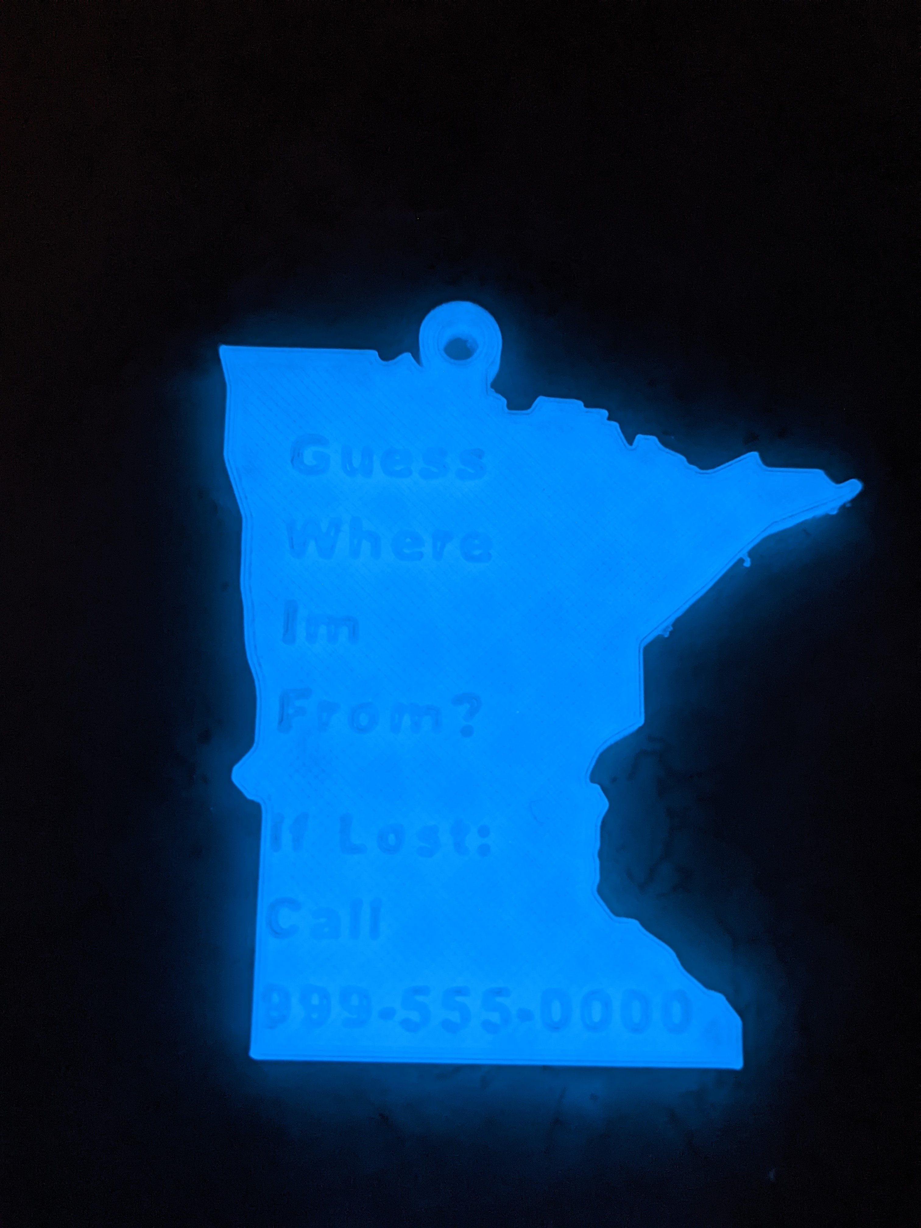 Customizable Minnesota Dog Tag by ShortMort | Download free STL model ...