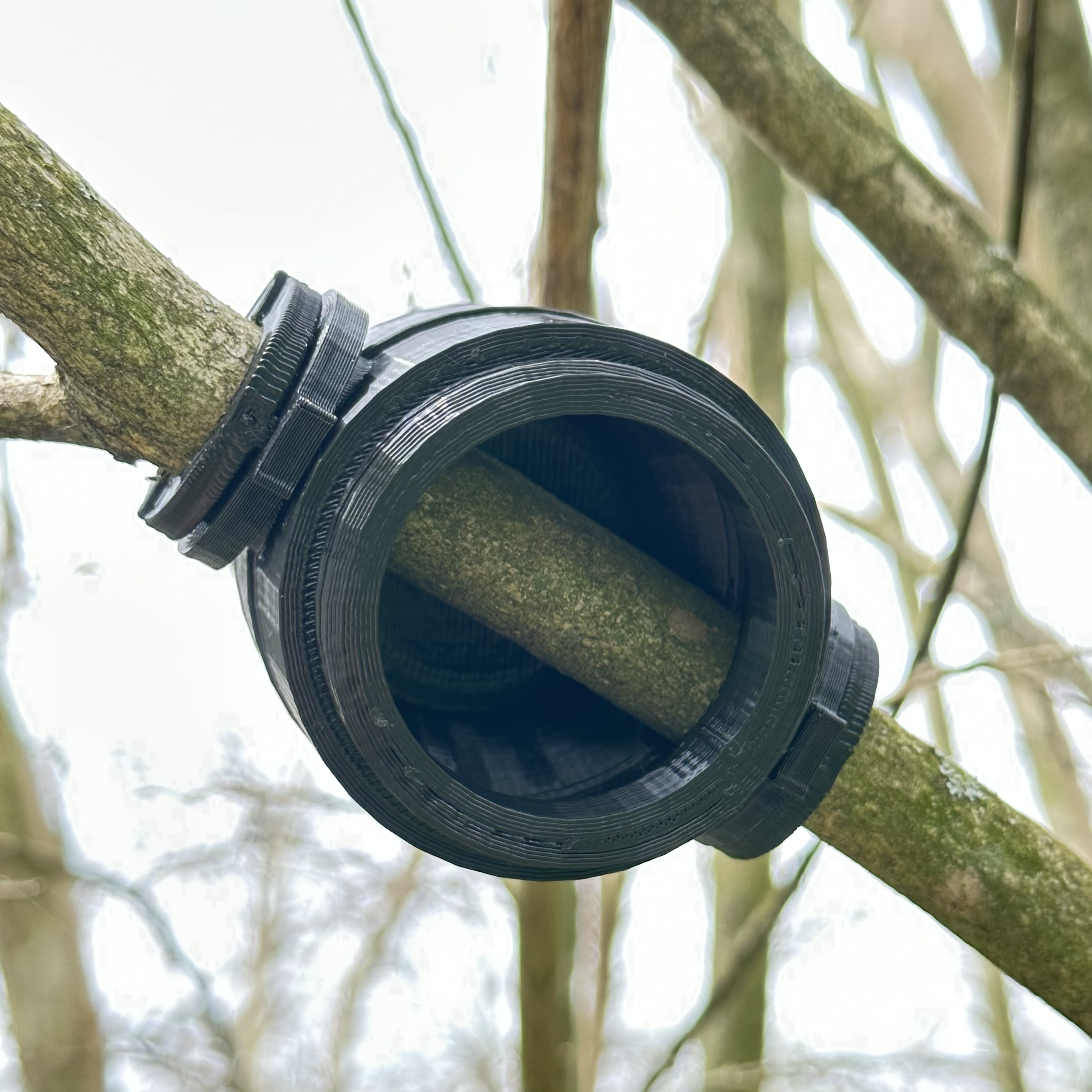 Tree Cloning Bulb with Quick Peak Cap by William Petruzzo | Download ...