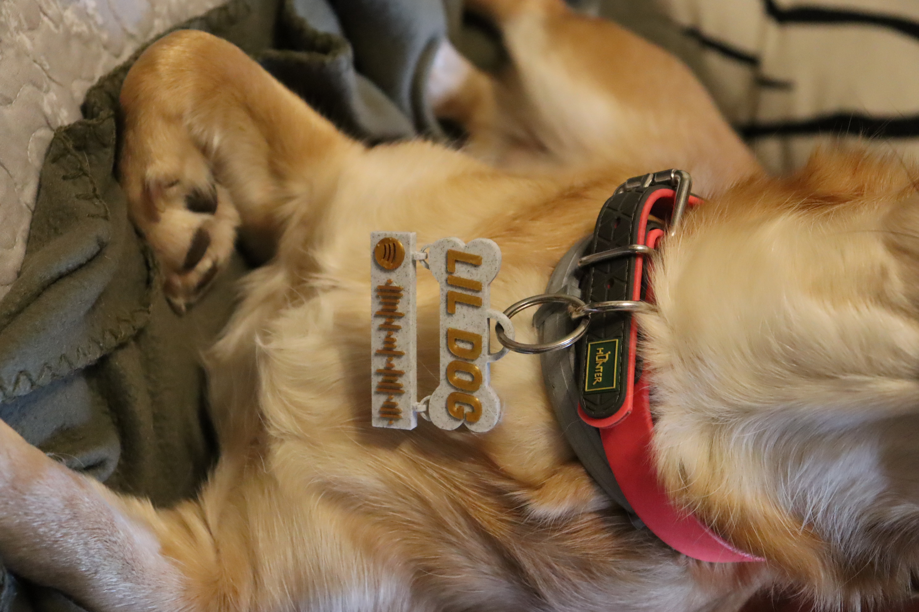 Spotify Dog Tag by Benymo | Download free STL model | Printables.com
