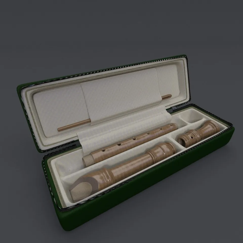 Recorder with Case by Books | Download free STL model | Printables.com