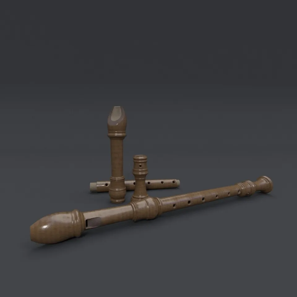 Recorder with Case by Books | Download free STL model | Printables.com