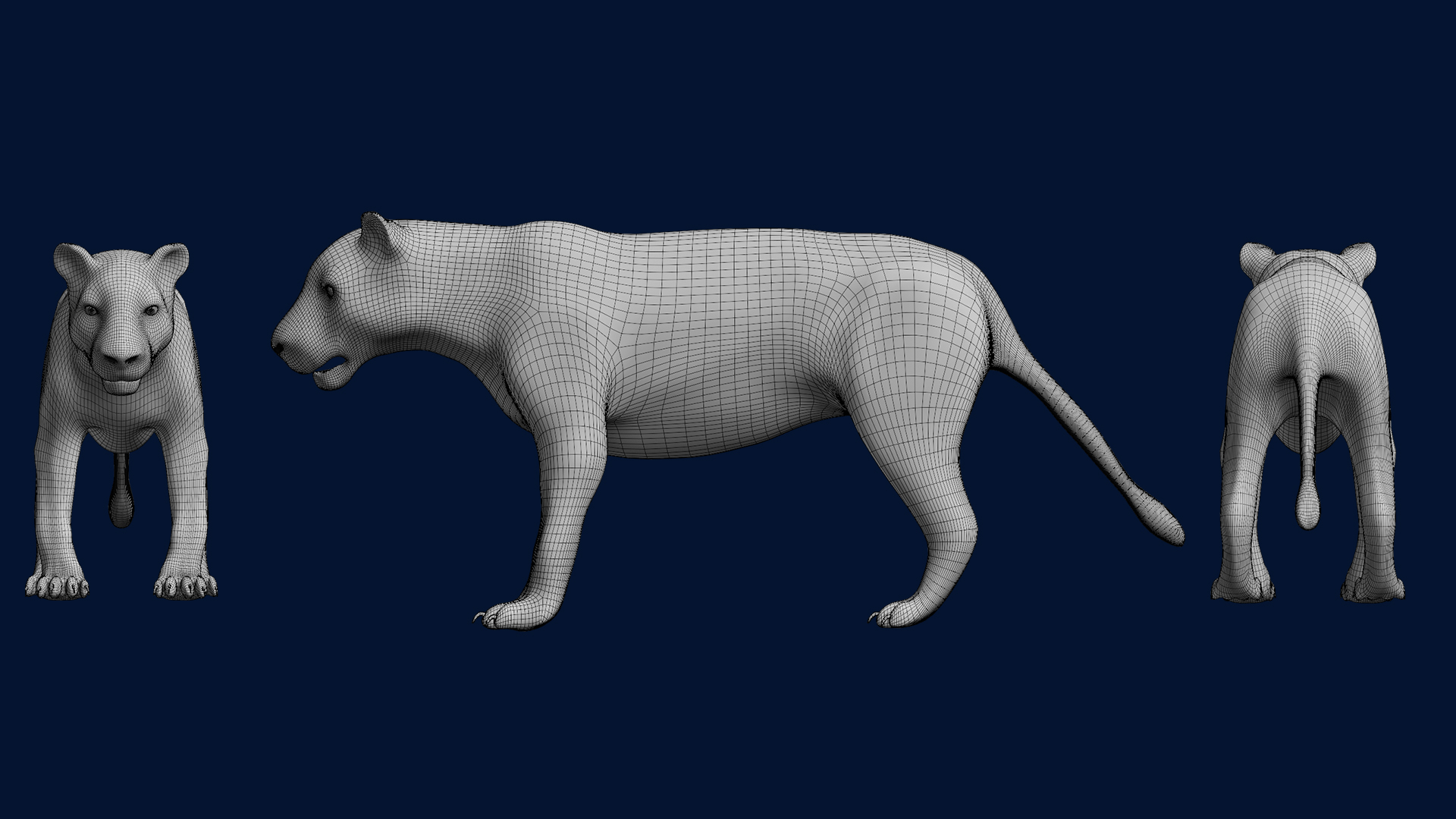 Tiger/Lion (Base Mesh Rigged) by Books | Download free STL model ...