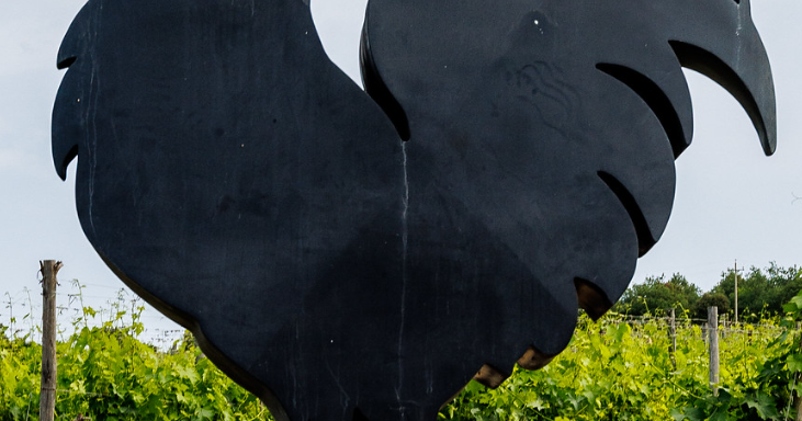 Gallo Nero - Chianti Rooster by Jared Gudnason | Download free STL ...