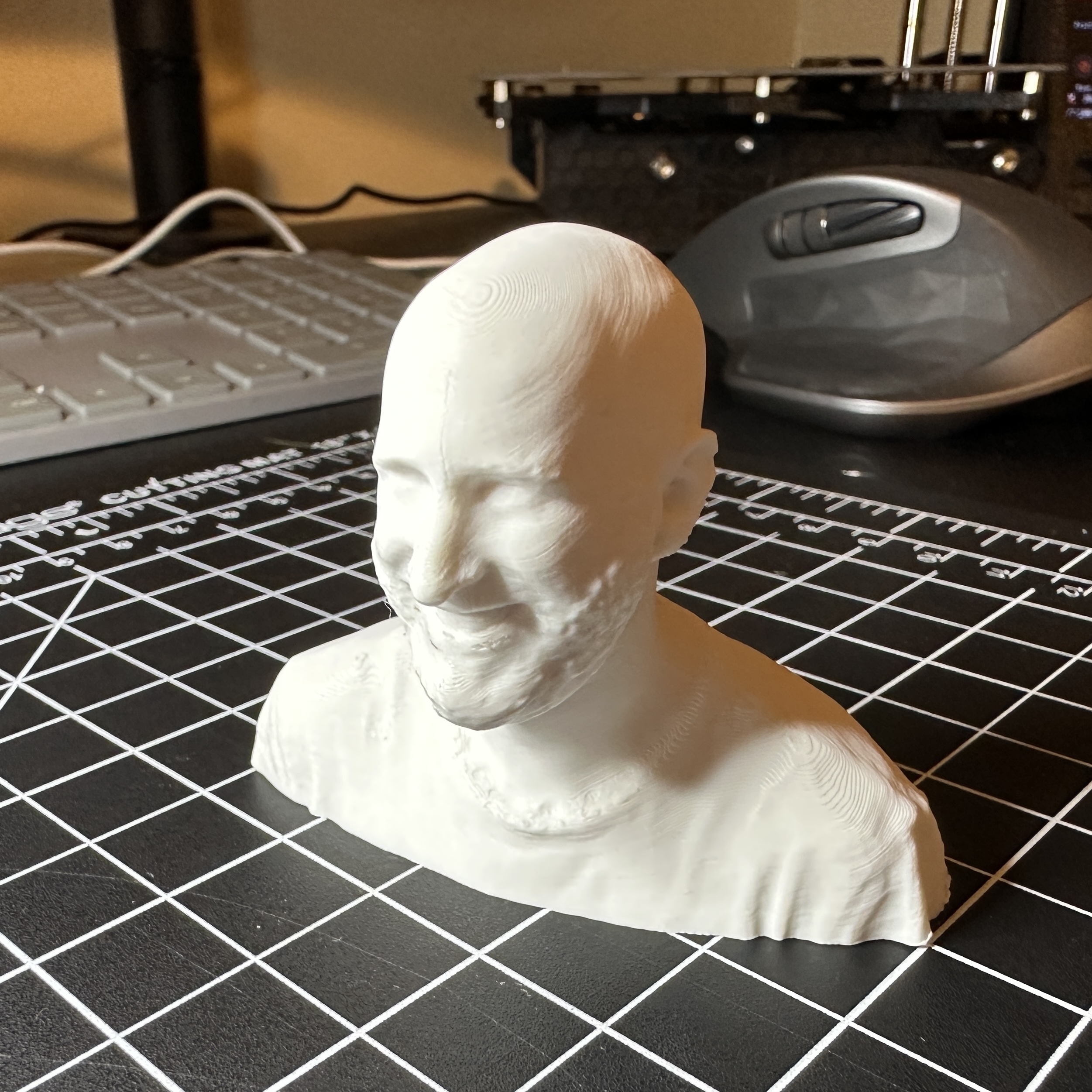 Head Bust by Noah Tucker Design | Download free STL model | Printables.com