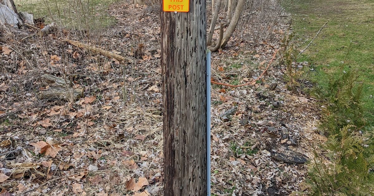 Humorous Sign - Please Like and Share This Post - 3 Versions by kaje ...