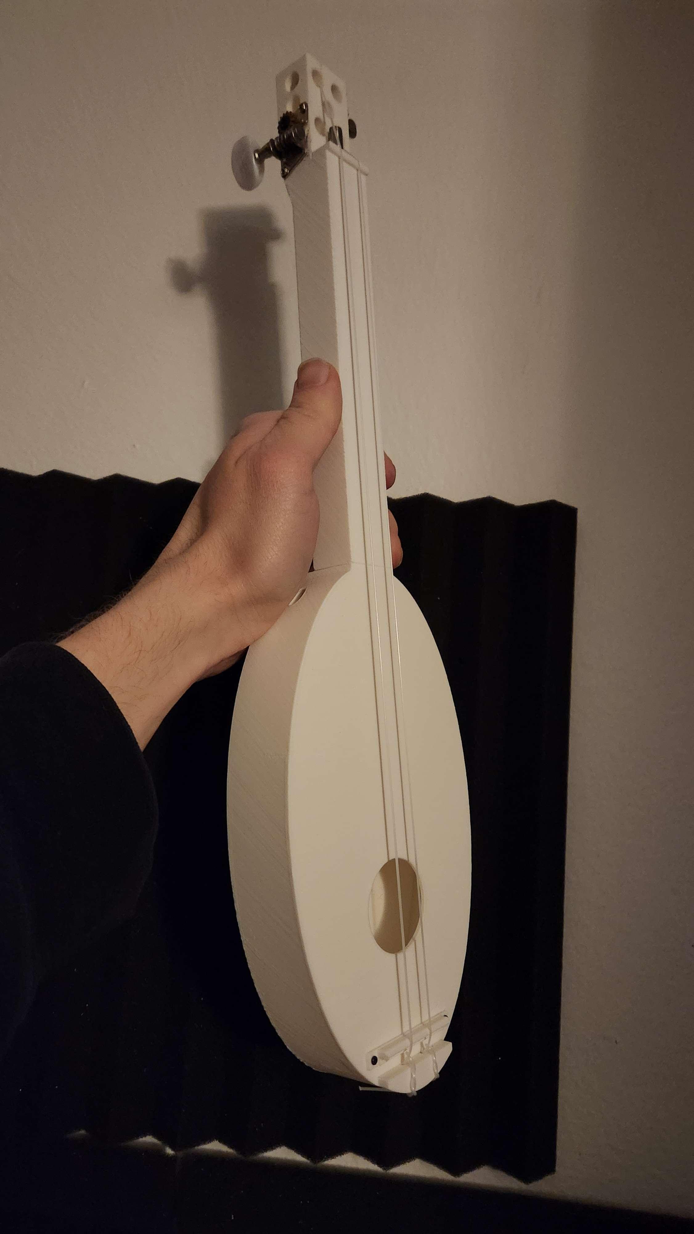 Playable 2 String Tovshuur Style Instrument by Grhmhome | Download free ...