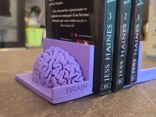 brain bookend/cerveau serre livre by Millman73 | Download free STL ...