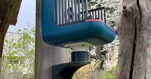 Bird buddy wall mount by Adamow | Download free STL model | Printables.com