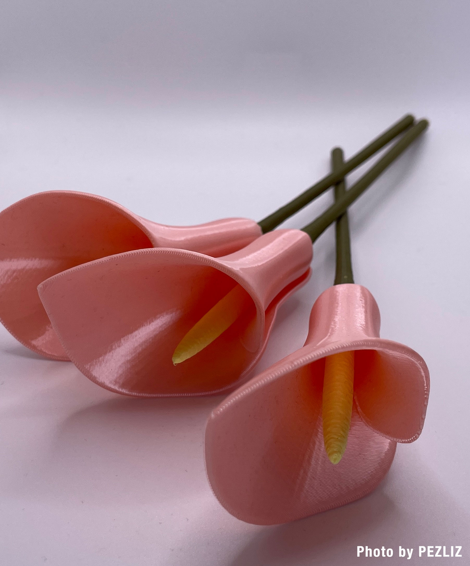 Calla Lily Flower (Vase Mode) by fixumdude | Download free STL model ...