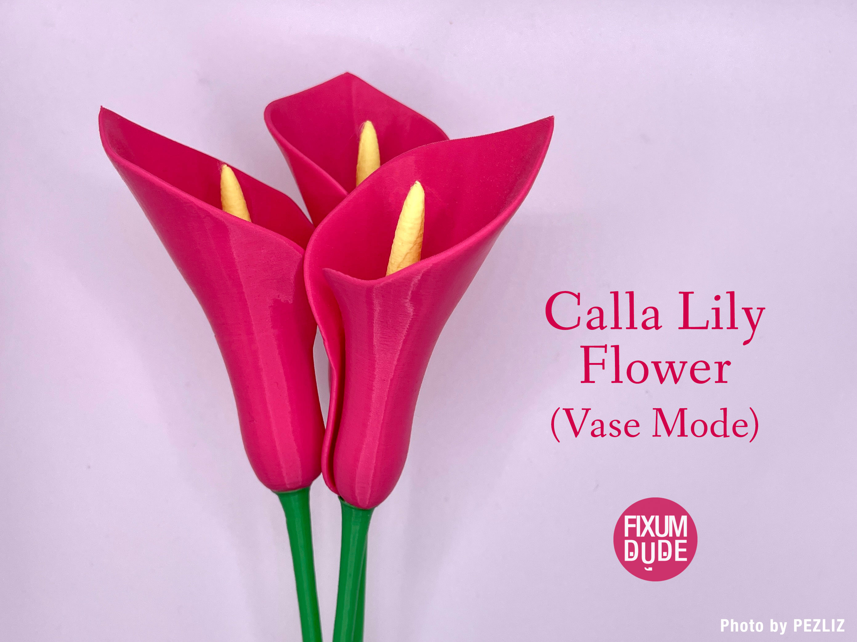 Calla Lily Flower (Vase Mode) by fixumdude | Download free STL model ...