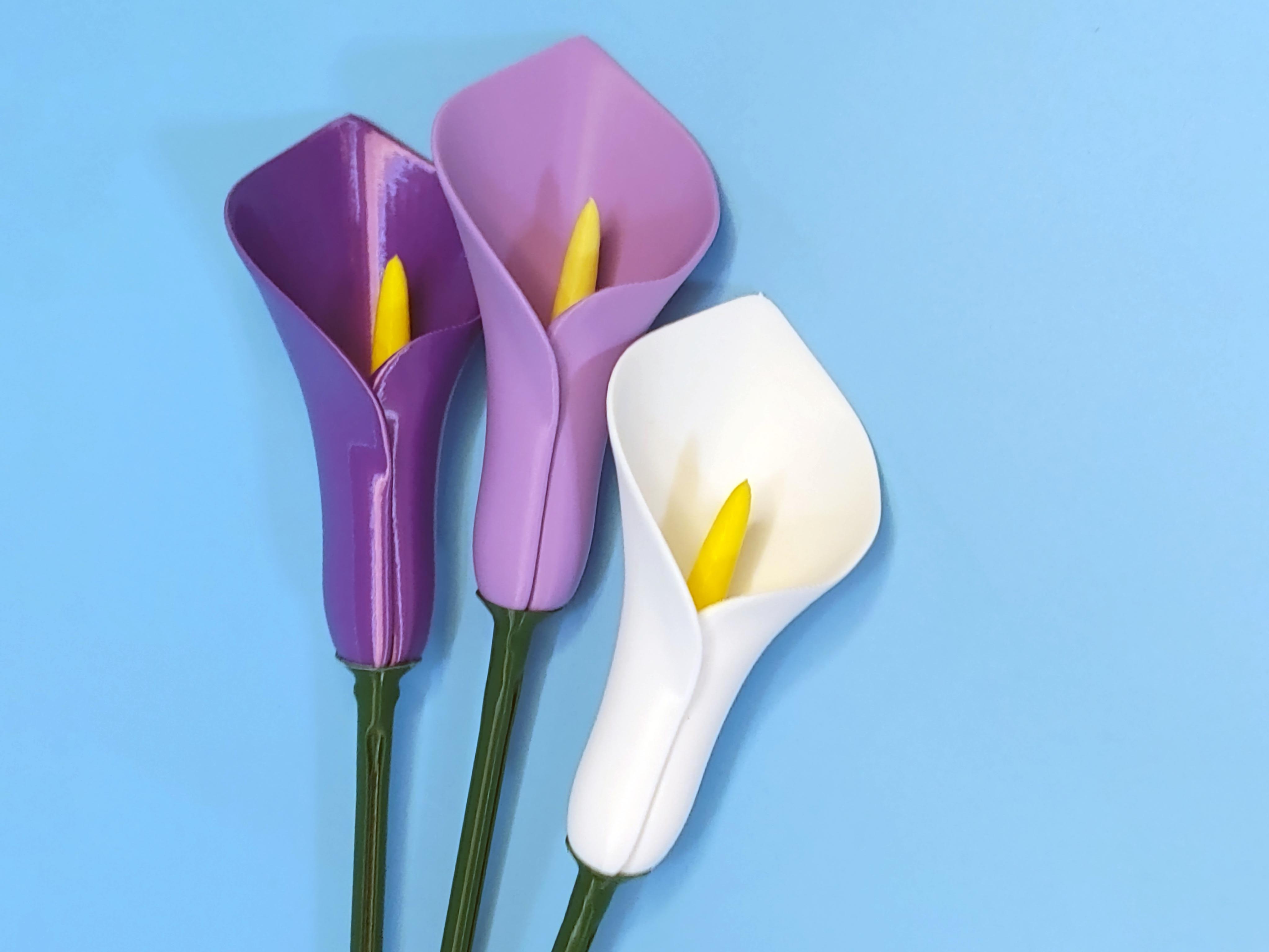 Calla Lily Flower (Vase Mode) by fixumdude | Download free STL model ...