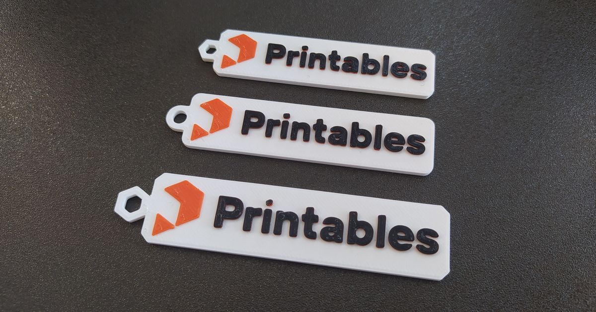 Printables multicolor keychains / Printables vícebarevné klíčenky by ...