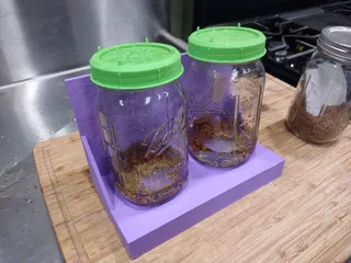 Sprouting Jar Holder (single) by Shane Creech | Download free STL model ...