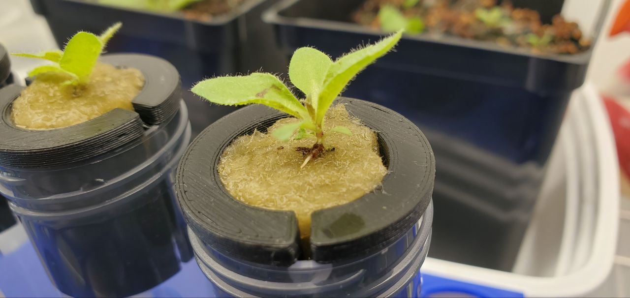 Falcoponics Lab Tube Hydroponics System by ATinyGreenCell | Download ...